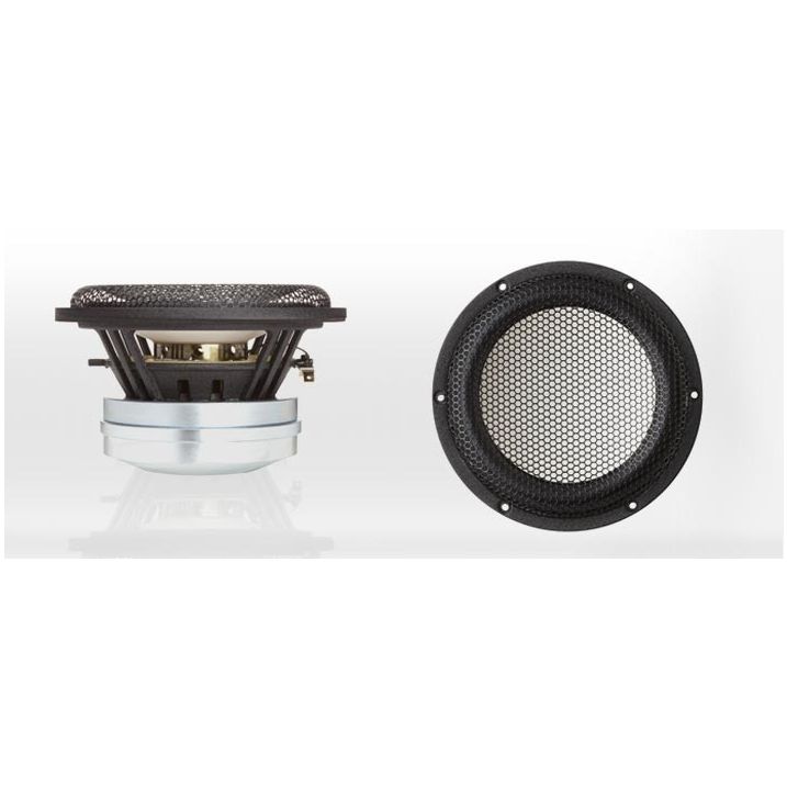 Accuton C173-6-096 MidWoofer